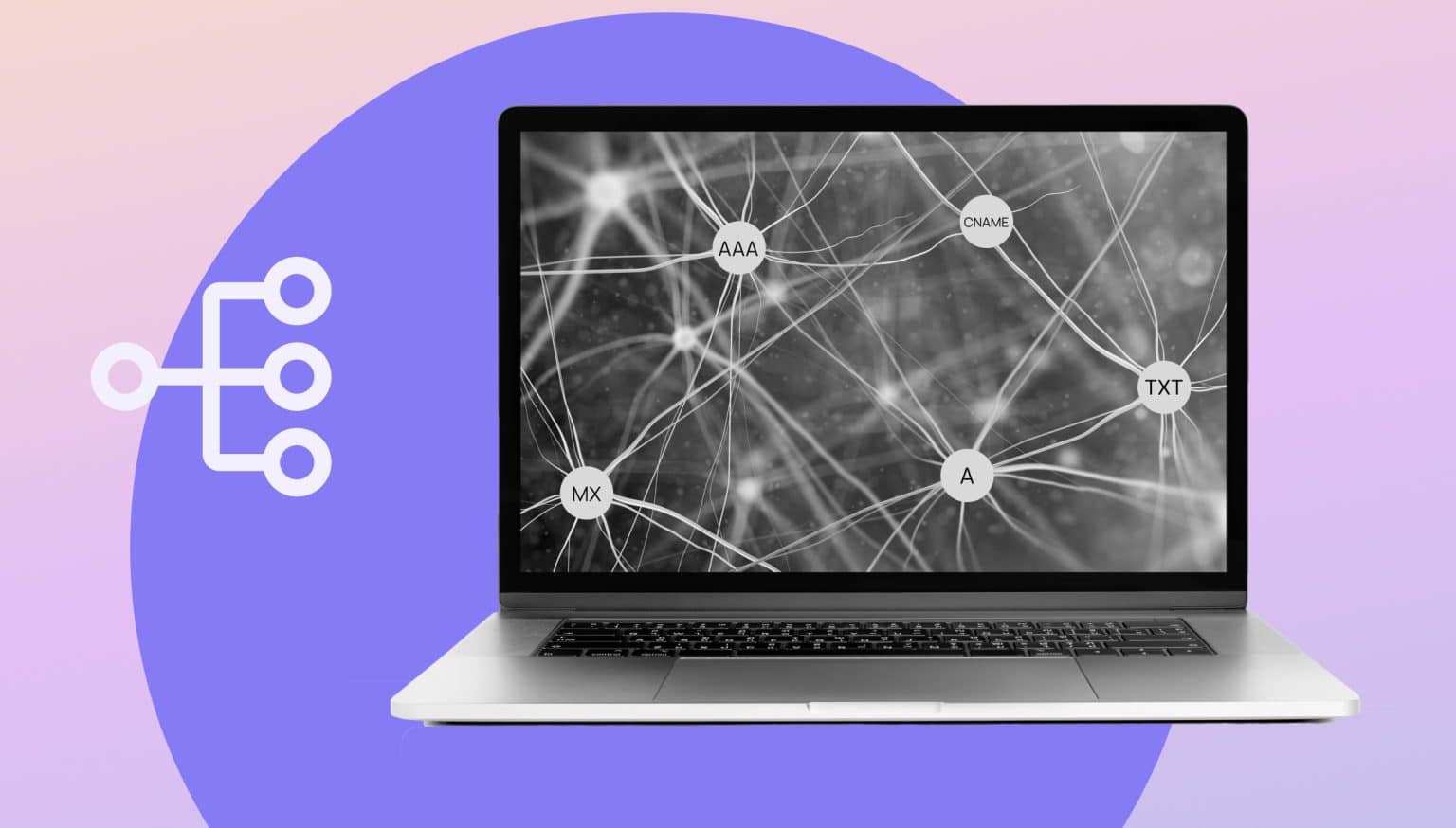 NS records | DNS | Snapshot Hub by InterNetX