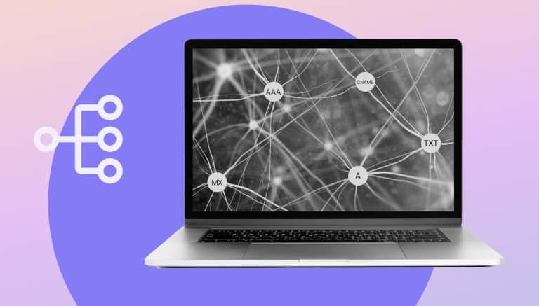 A record vs AAAA record | DNS | Snapshot Hub by InterNetX