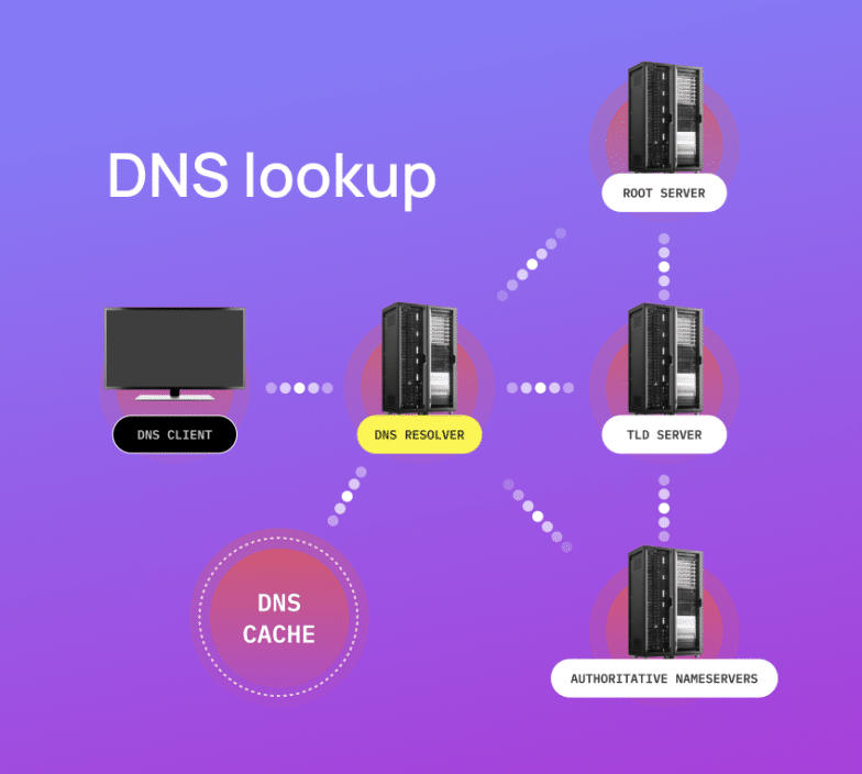 What is a DNS lookup and how does it work? | Snapshot Hub by InterNetX